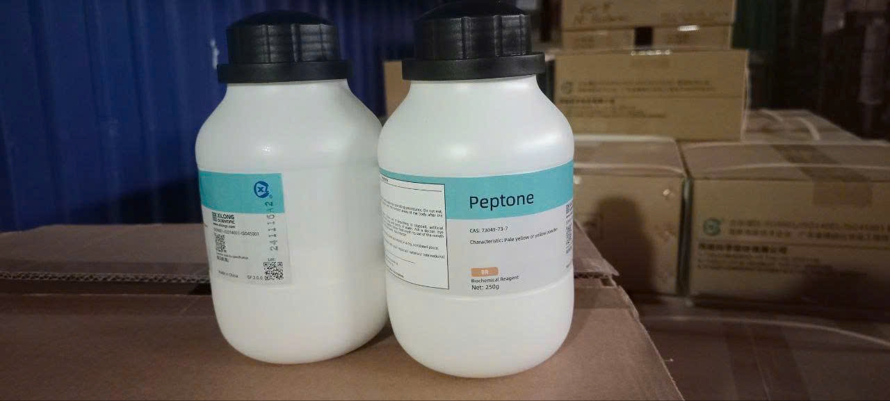 Môi trường Peptone Xilong 250g